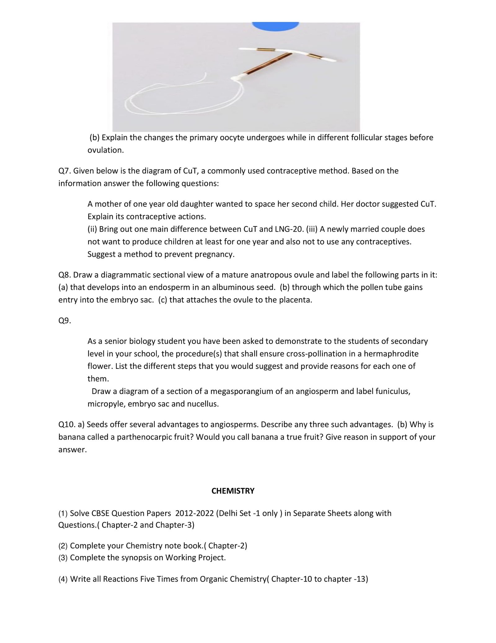 Summer Vacation Holiday Homework for Class 12